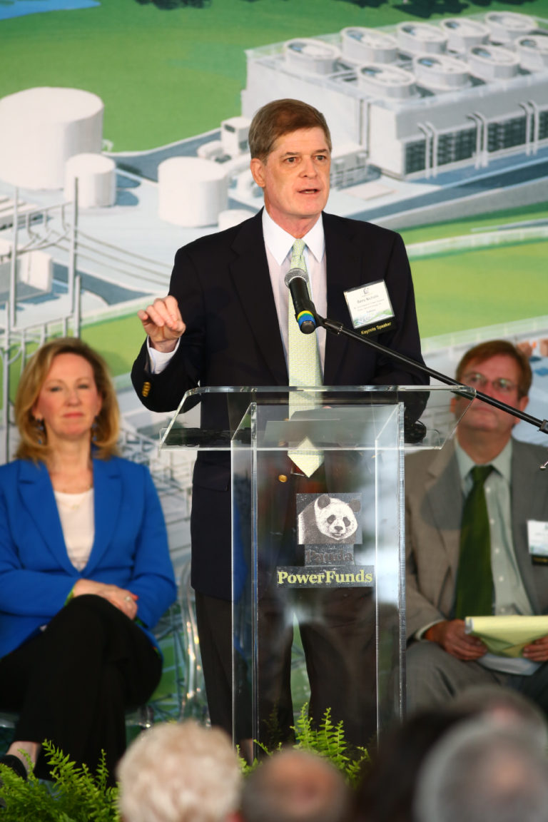 Panda Stone Wall – Hyon Smith Photography